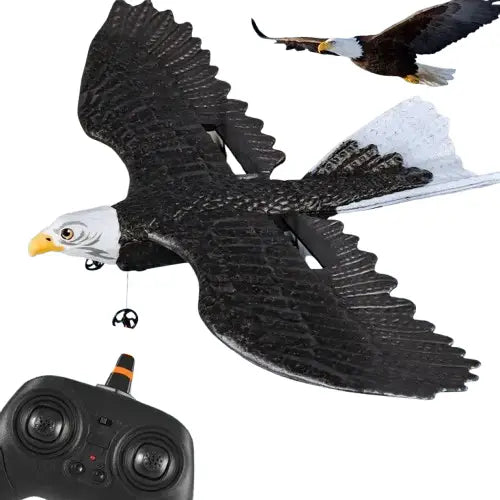 Remote-controlled glider Eagle Bird, easy to pilot.– Enjouet